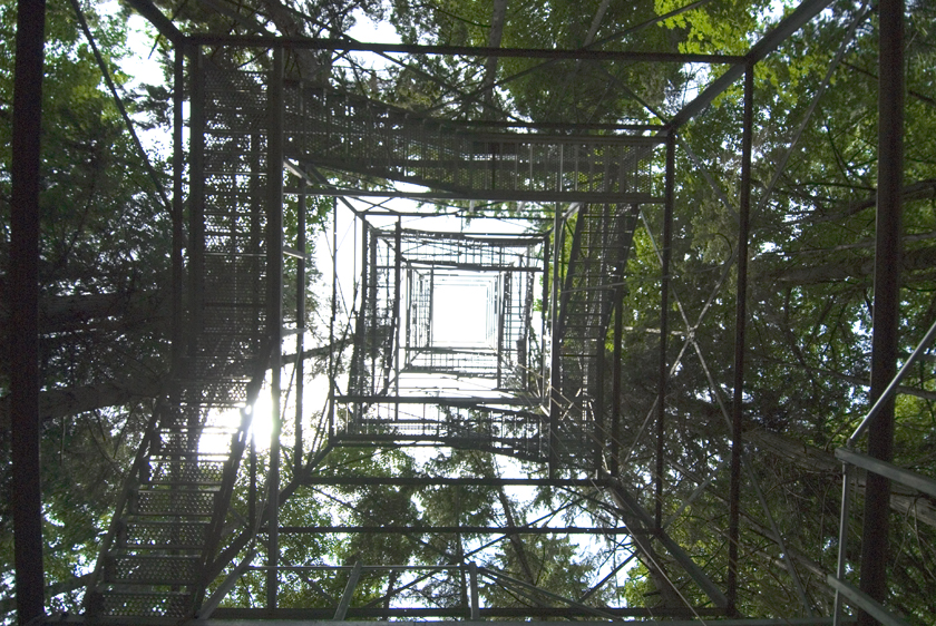 Islandwood Canopy Tower - Seattle Bridge Builders LLC